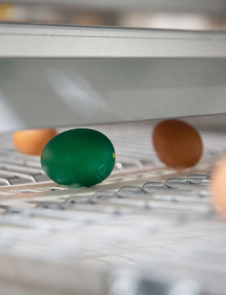 Gregg Smart Eggs - Vencomatic Group